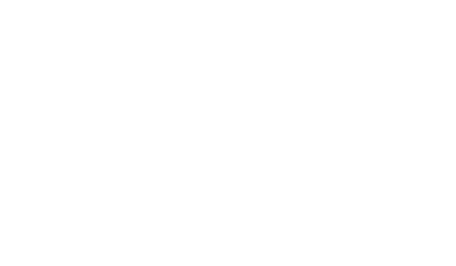 Business Development Institute